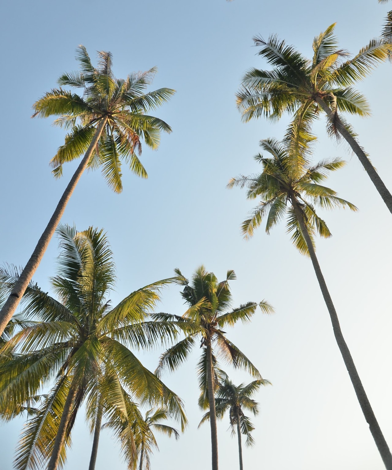 Top Florida Real Estate Agent | M. Diane Stull