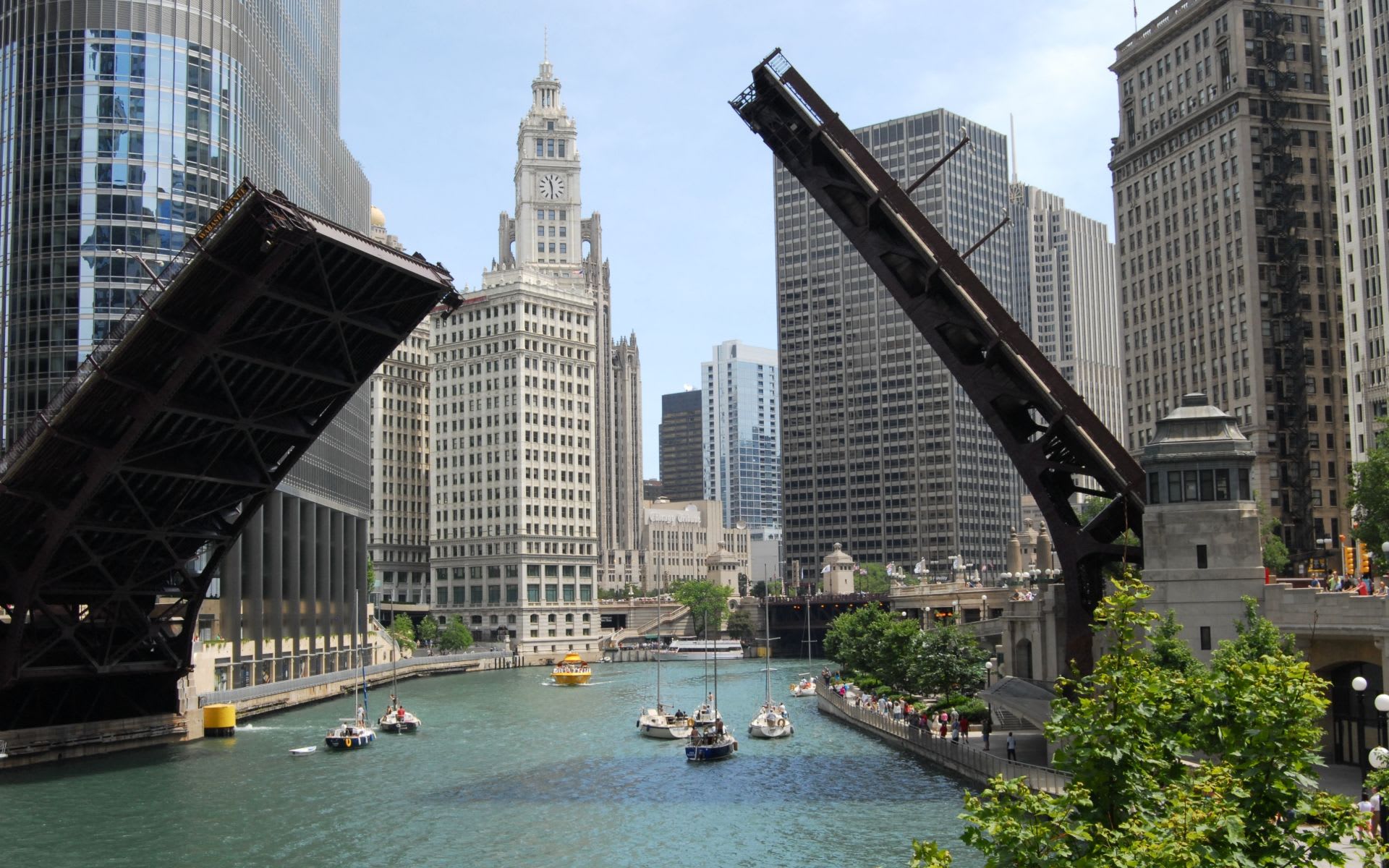 Alex Fiallos Group | Chicago Real Estate Agents