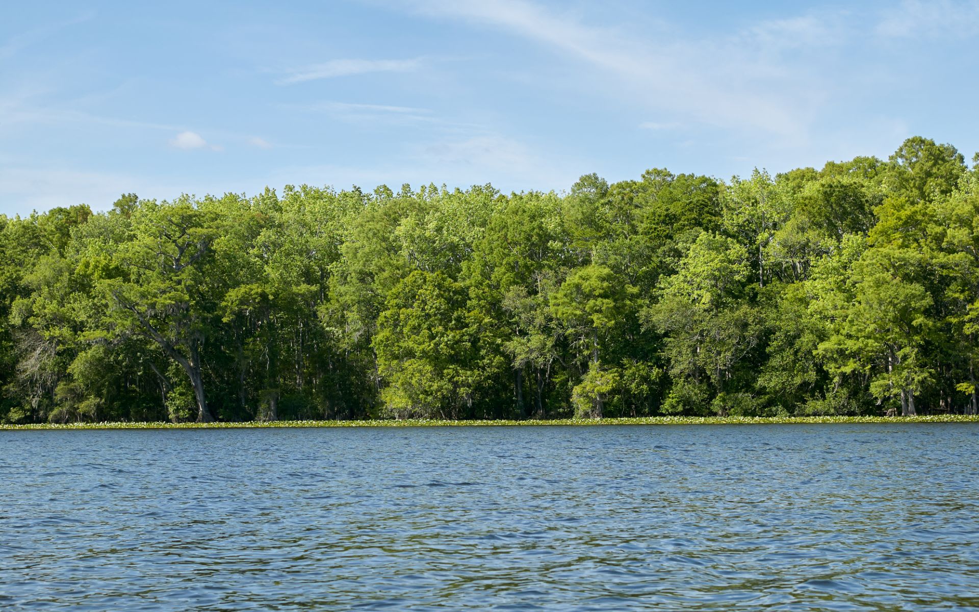Homes for Sale in Milton | Georgia Real Estate