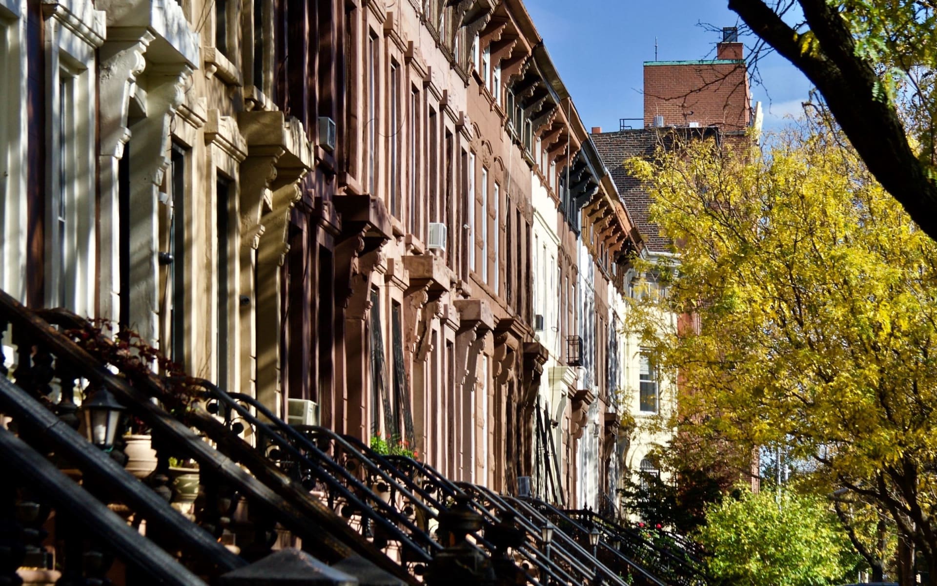 Tips & Insights for Brooklyn | The Scott / Robles Team