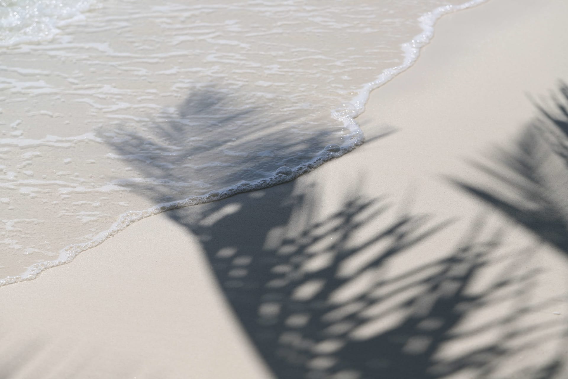 Miami Real Estate Agent – Discover Luxury with Terry Segall