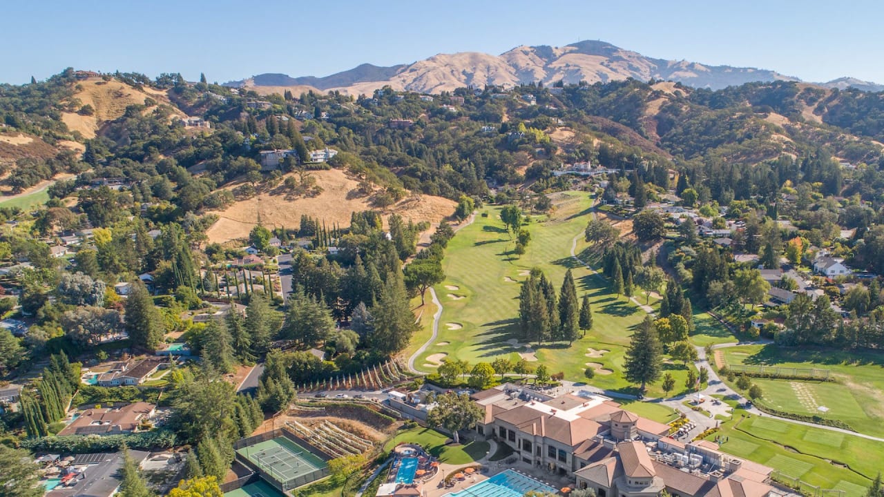 Jill Fusari | Alamo, CA Realtor | The Agency