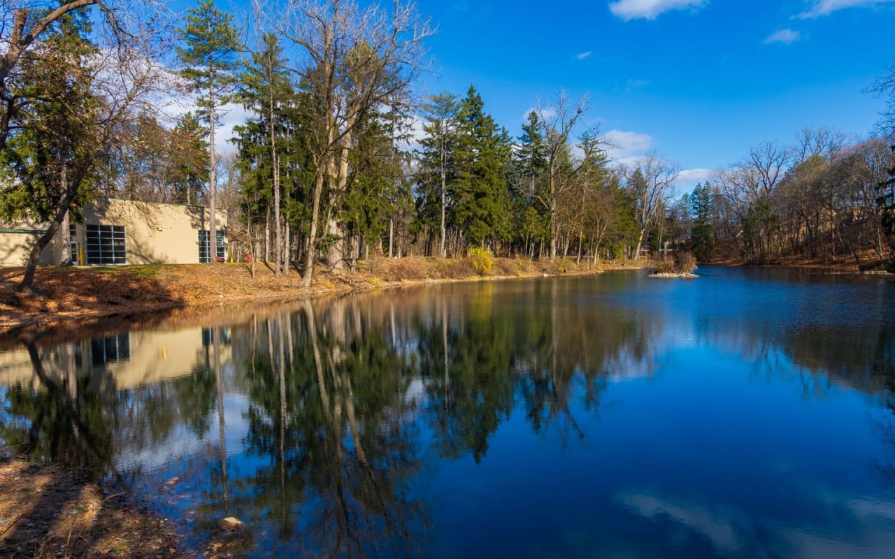 Lake Ann, Michigan Homes/Land For Sale - Team Shimek