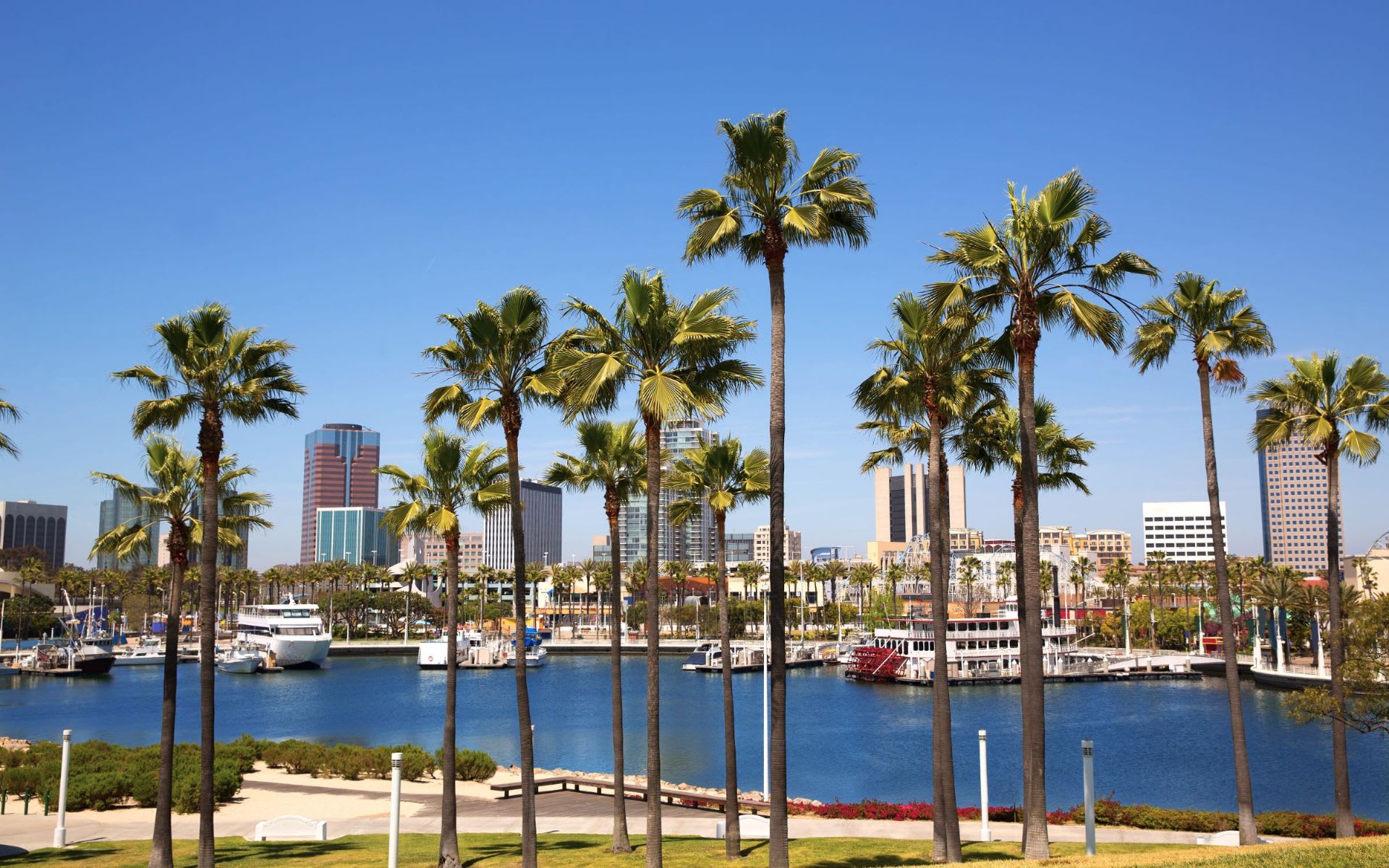 Comprehensive Guide to California Neighborhood | Tamas Batyi