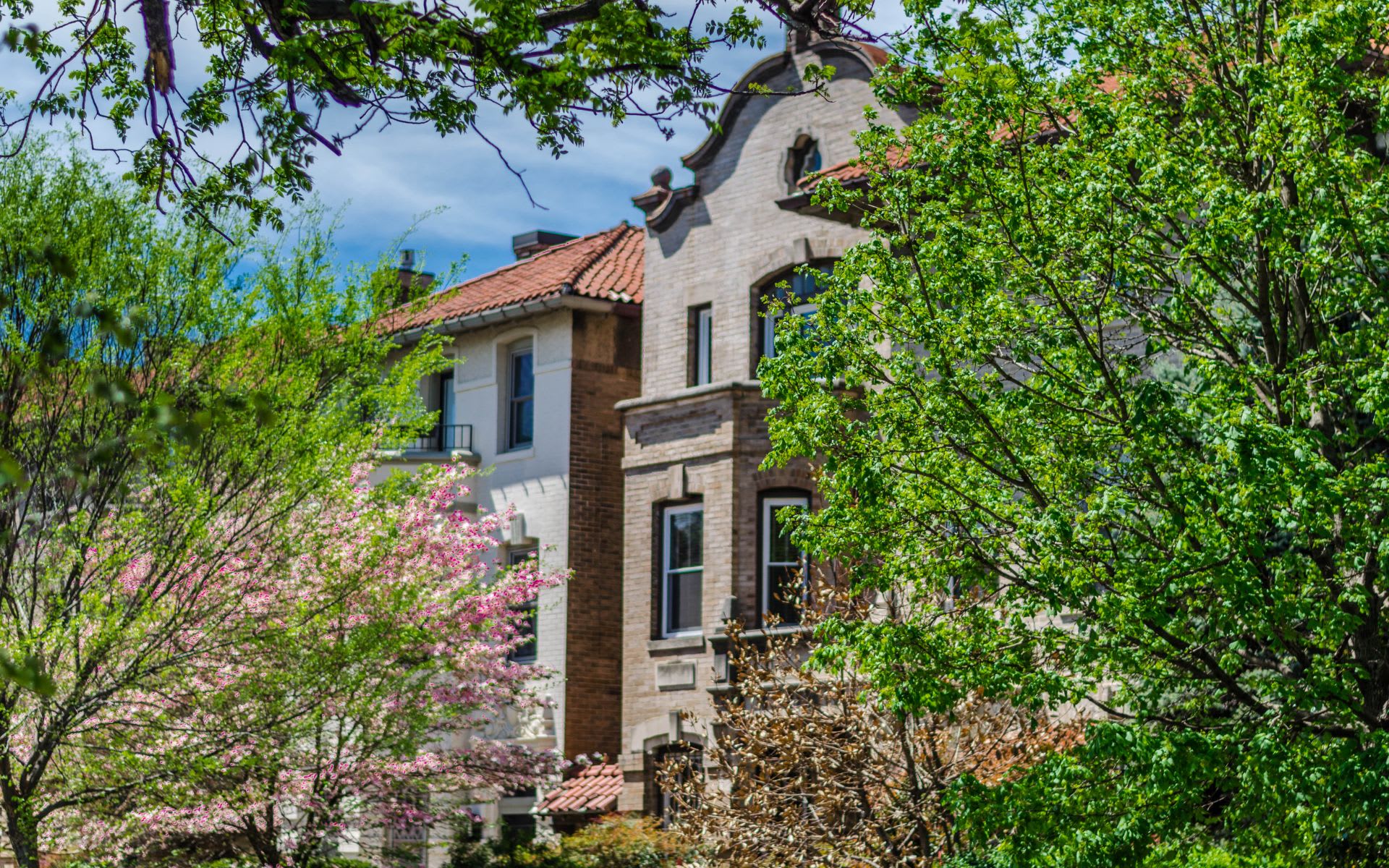 The Group | Washington Real Estate Team