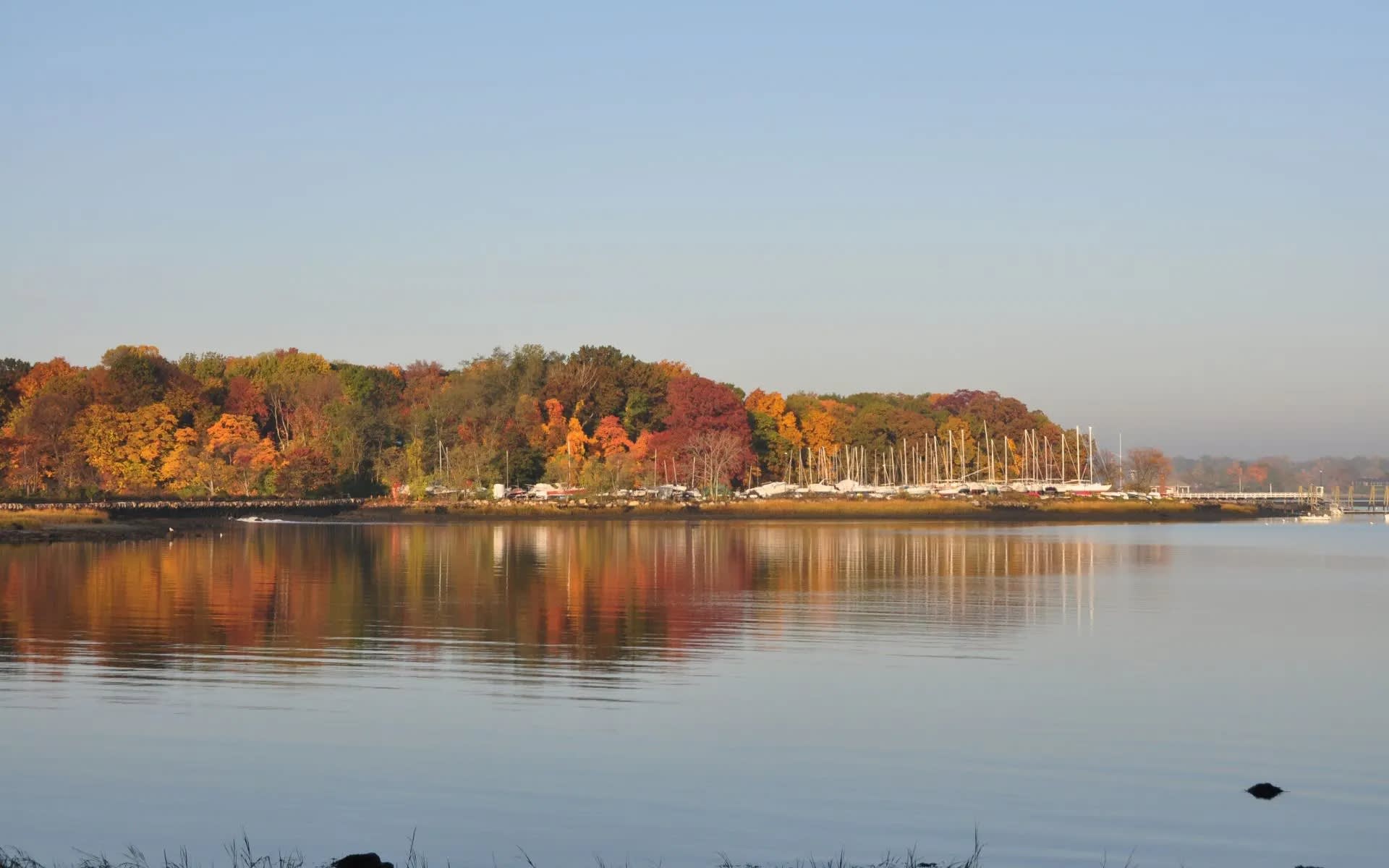 Greenwich Real Estate & Homes For Sale | Angela Swift