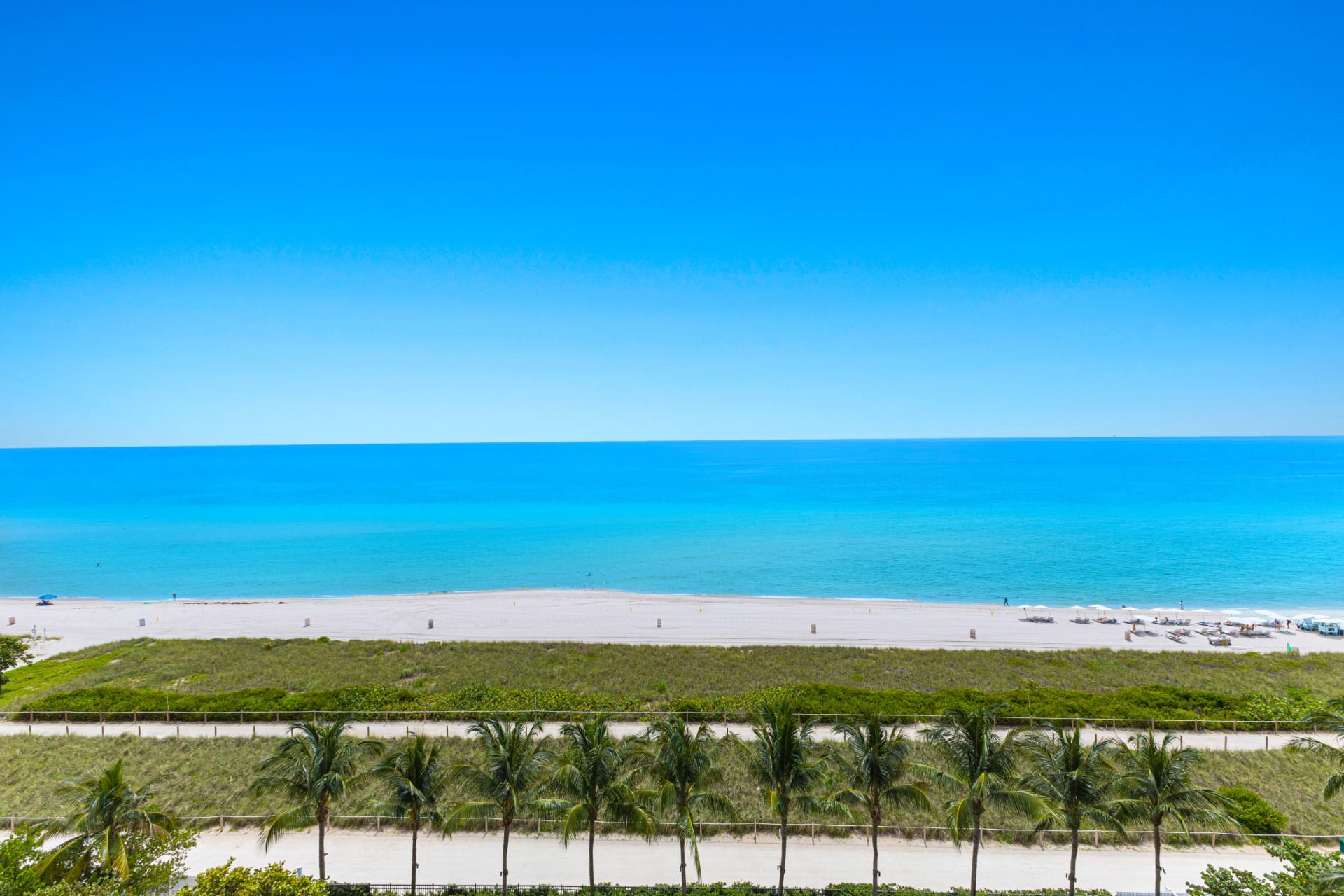 Luxe Living Realty | Dora Puig