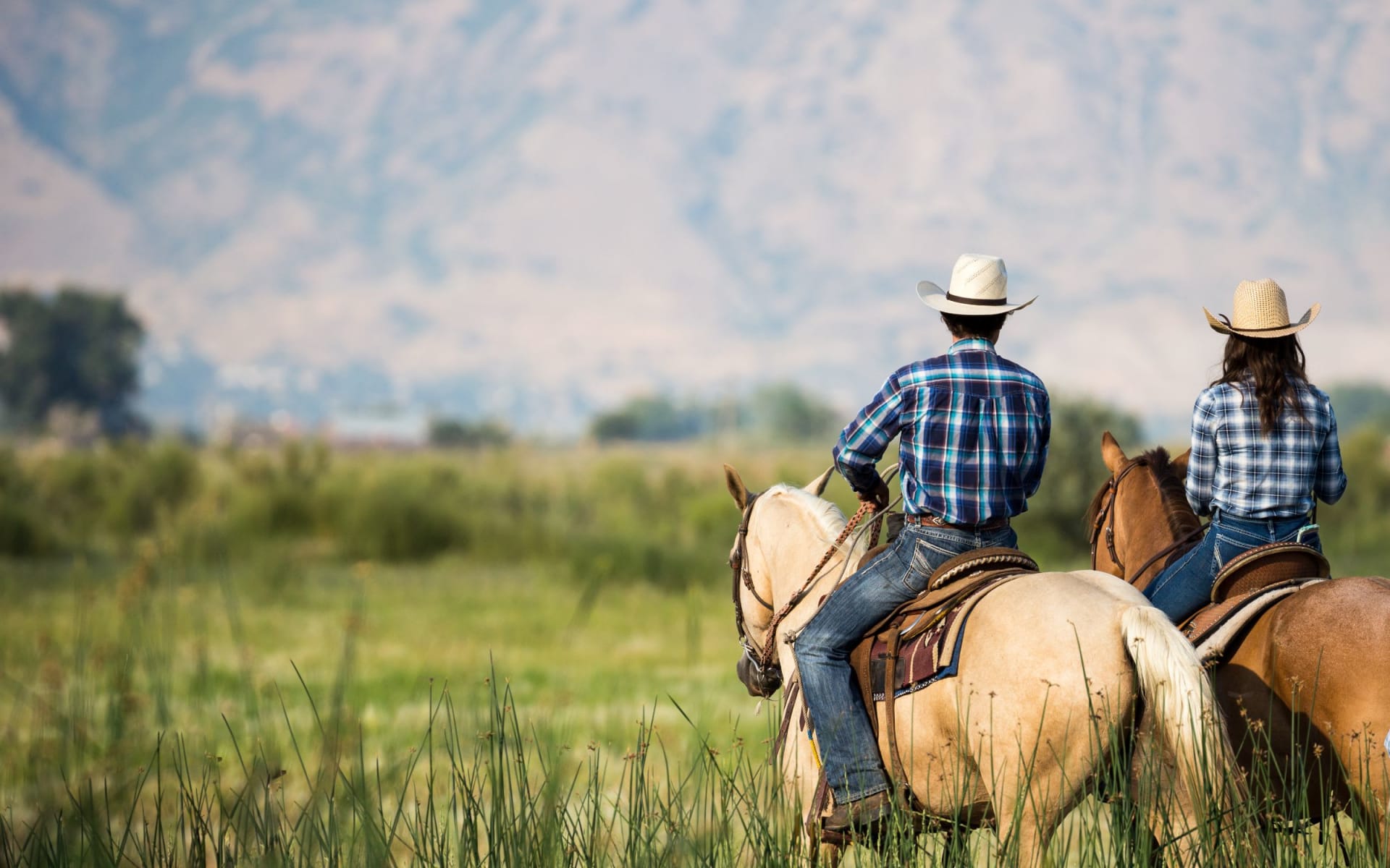 Farm & Ranch Properties for Sale in Utah | Spark Real Estate