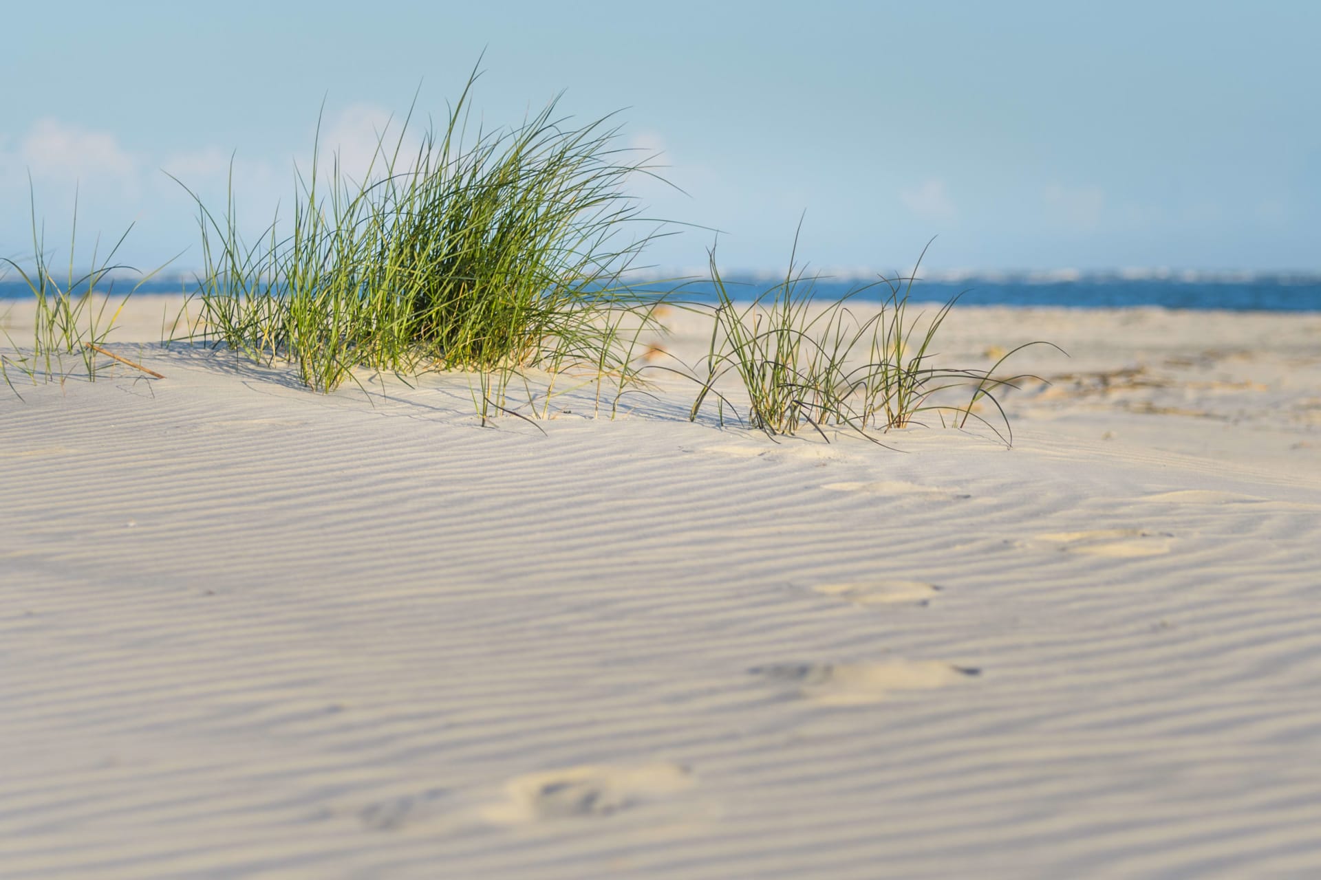 Wayne Webb | Real Estate Agent Serving Beaufort, SC