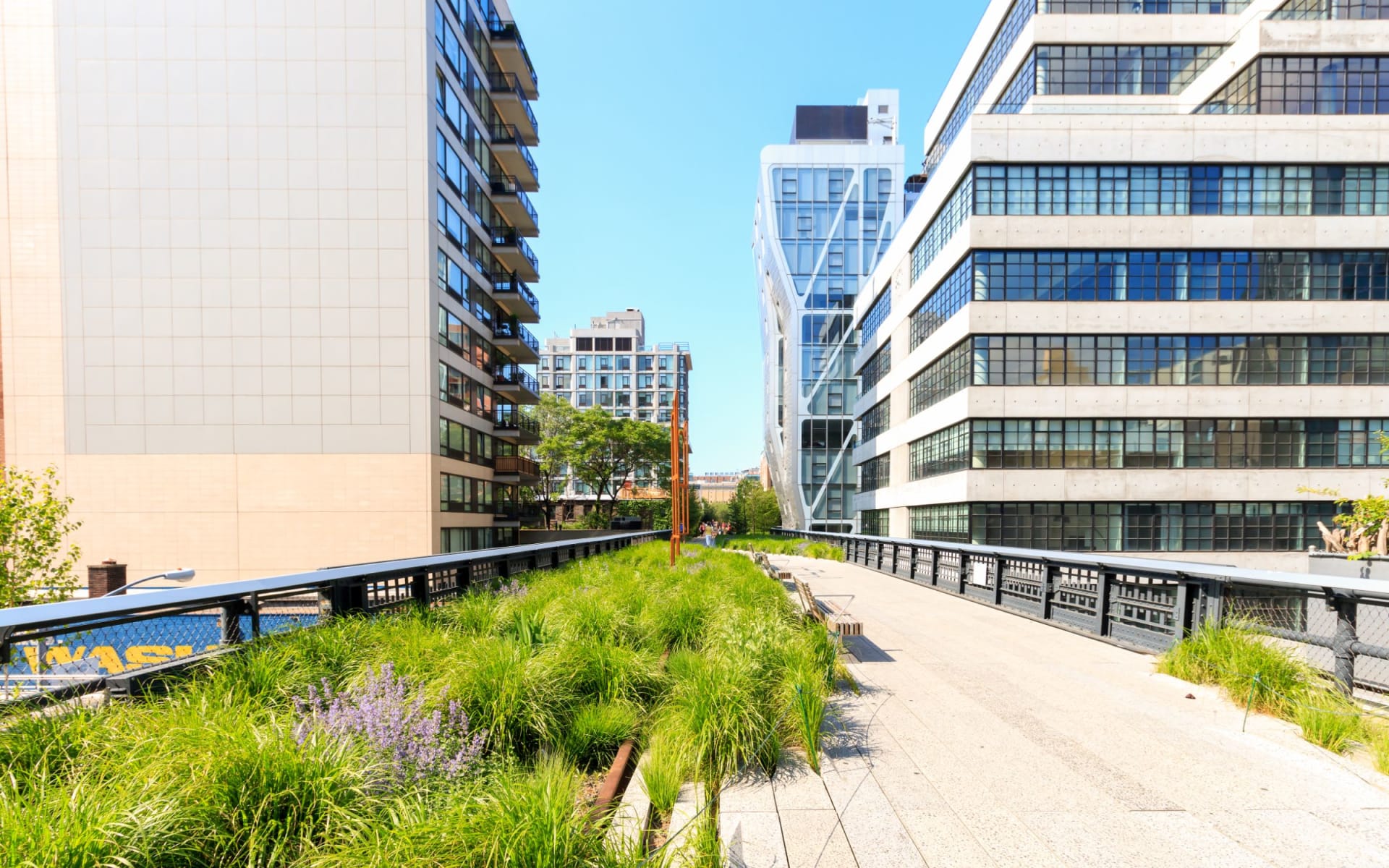 Properties for Rent in Brooklyn | The Scott / Robles Team