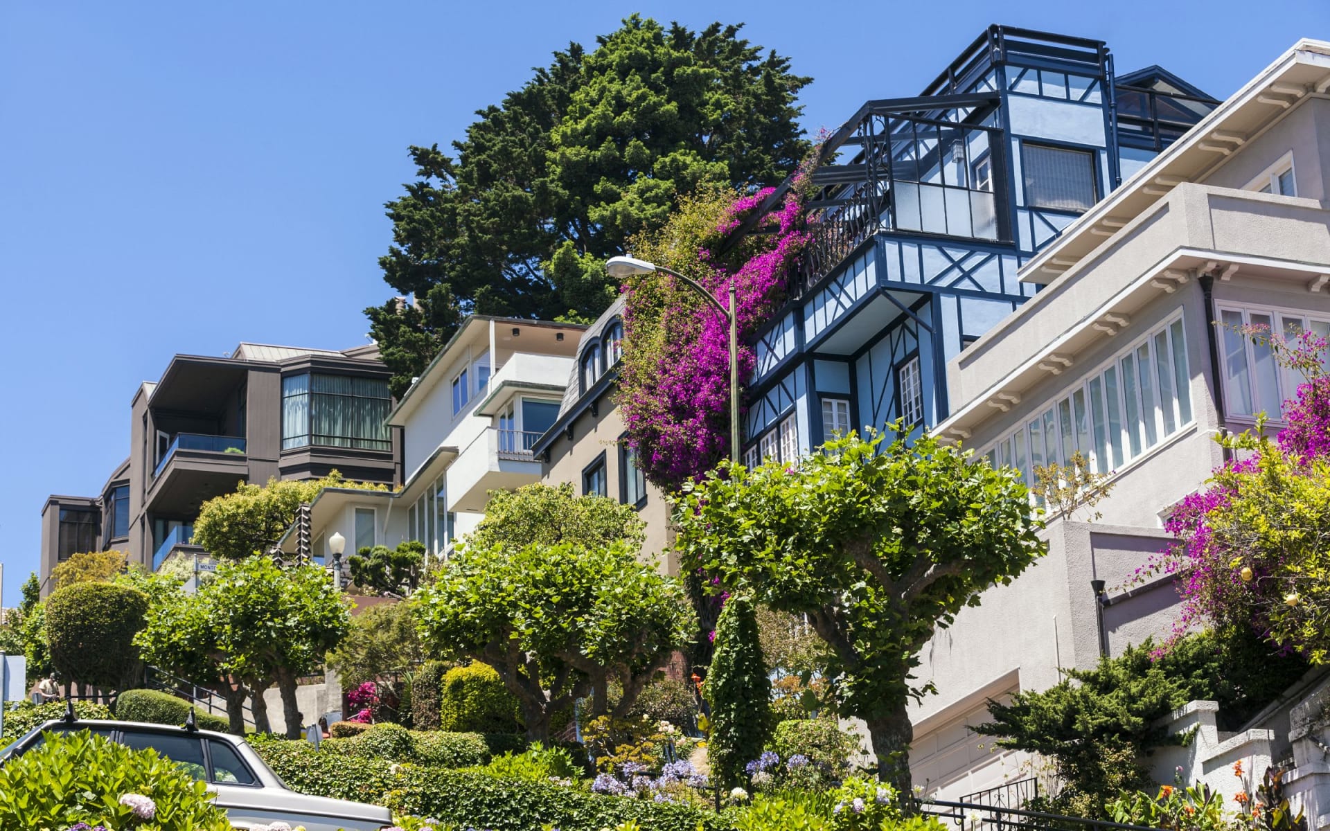 Portfolio | San Francisco Real Estate | Mimi Bruce