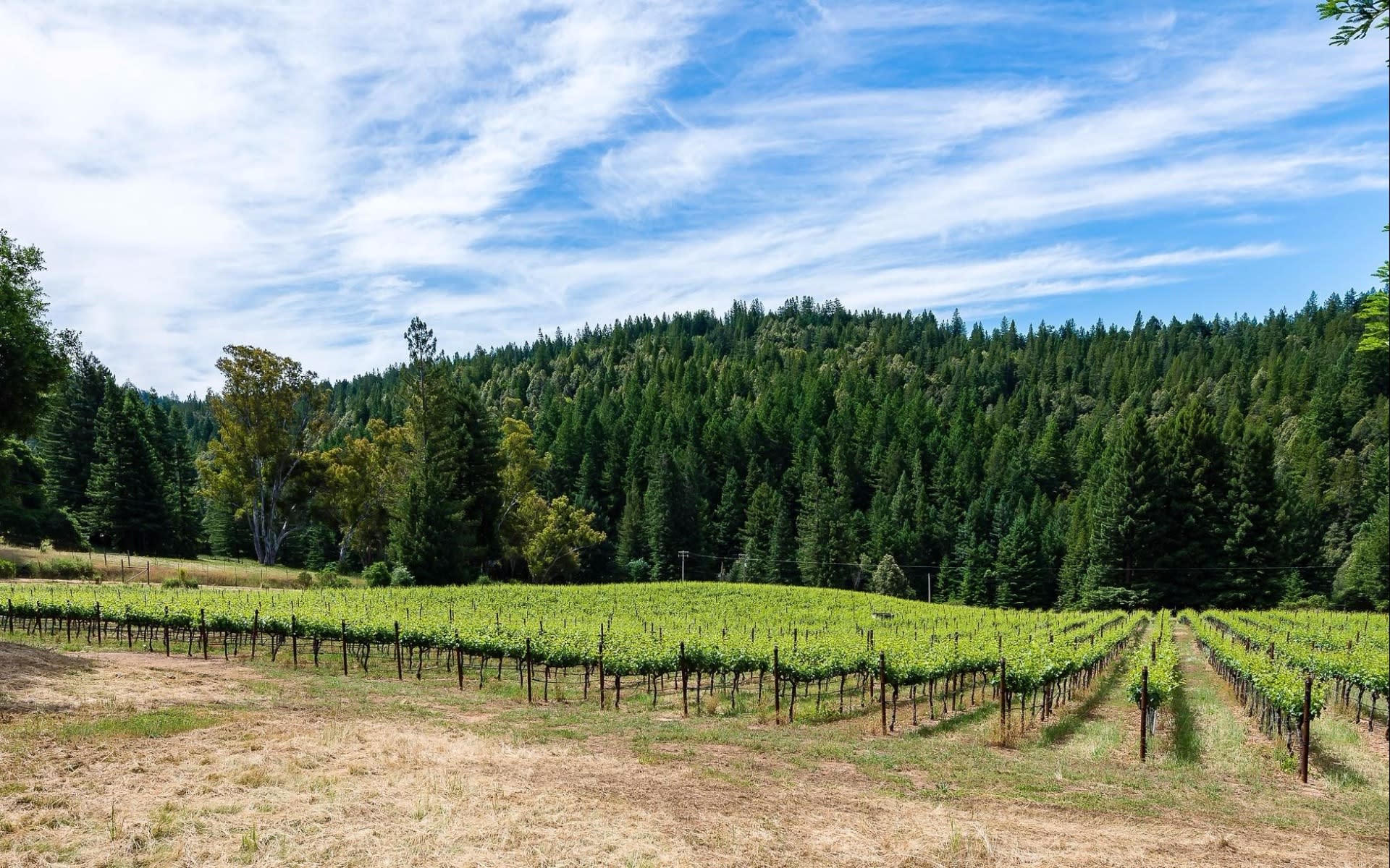 Home Search | Anderson Valley Real Estate | Kevin Mcdonald