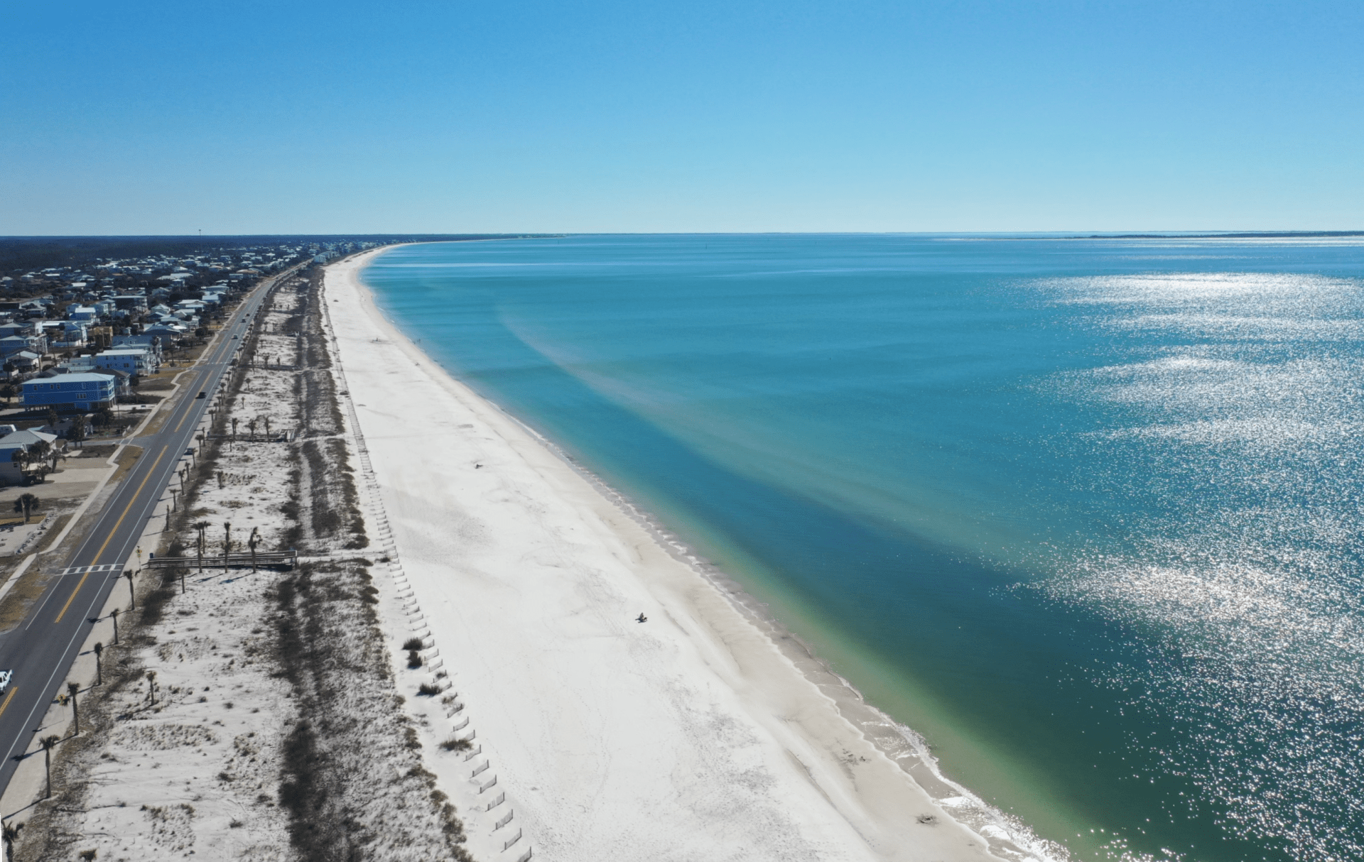 Carter Dorsch | Real Estate Agent Serving Florida