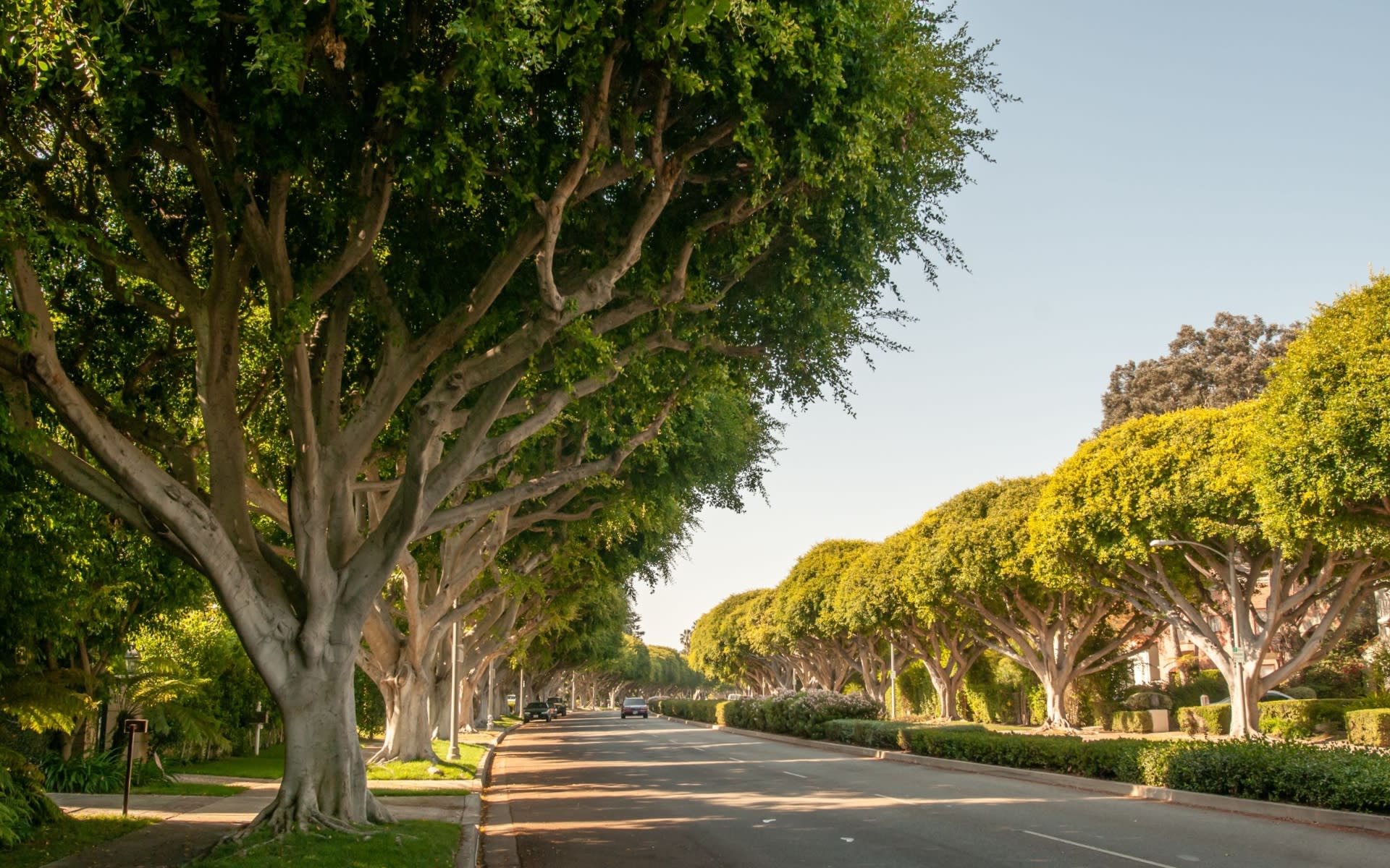 Explore California Neighborhoods | Spire Estate Services