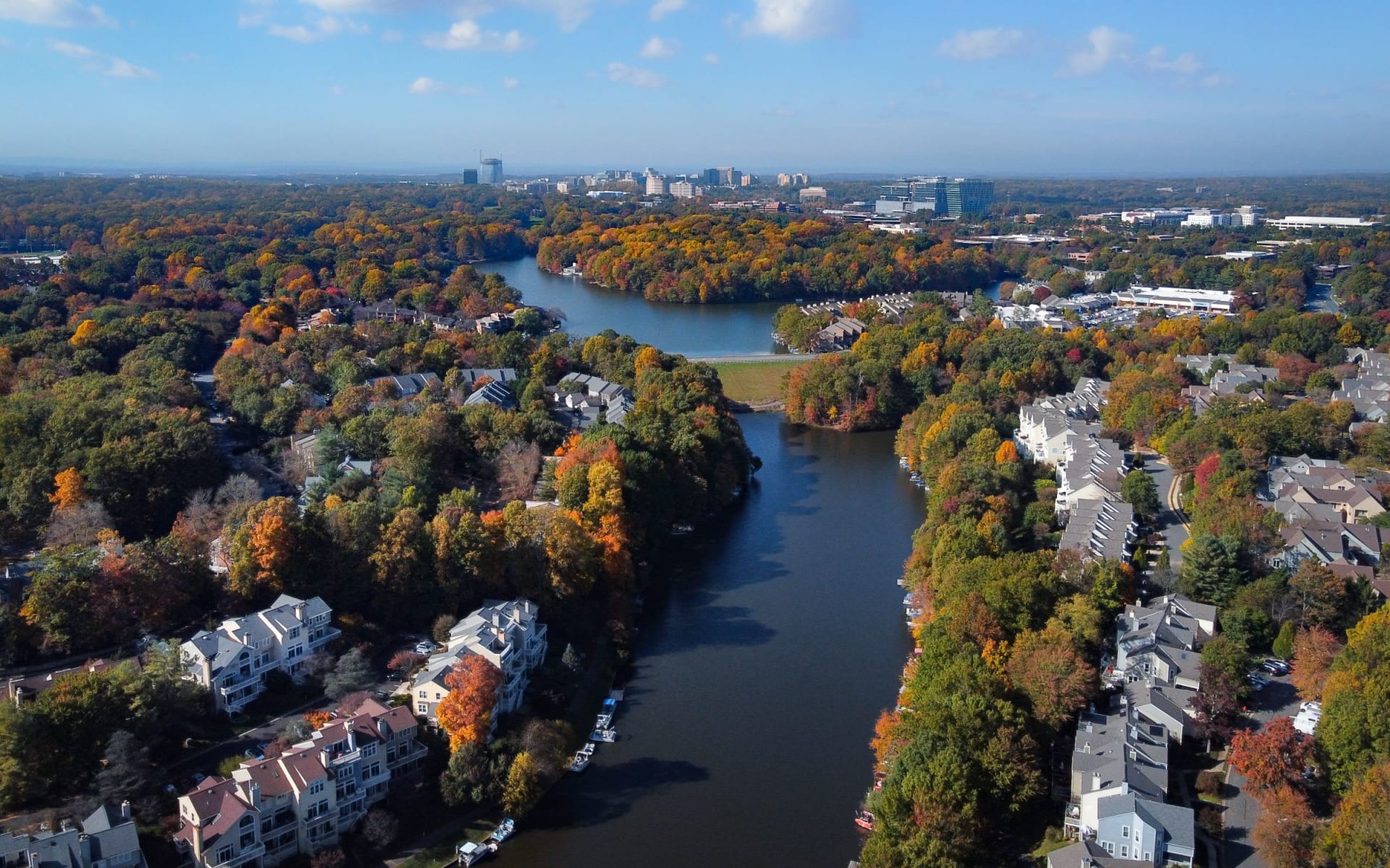 Best Places to Live in Reston | Meg Marsh