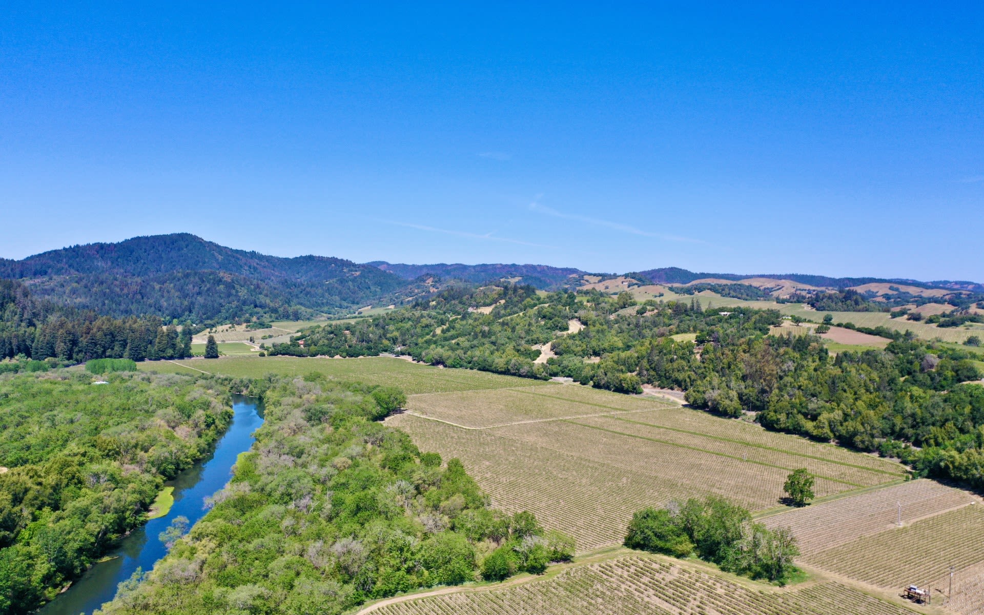 Buyers Resources | Jeff & Casey Bounsall