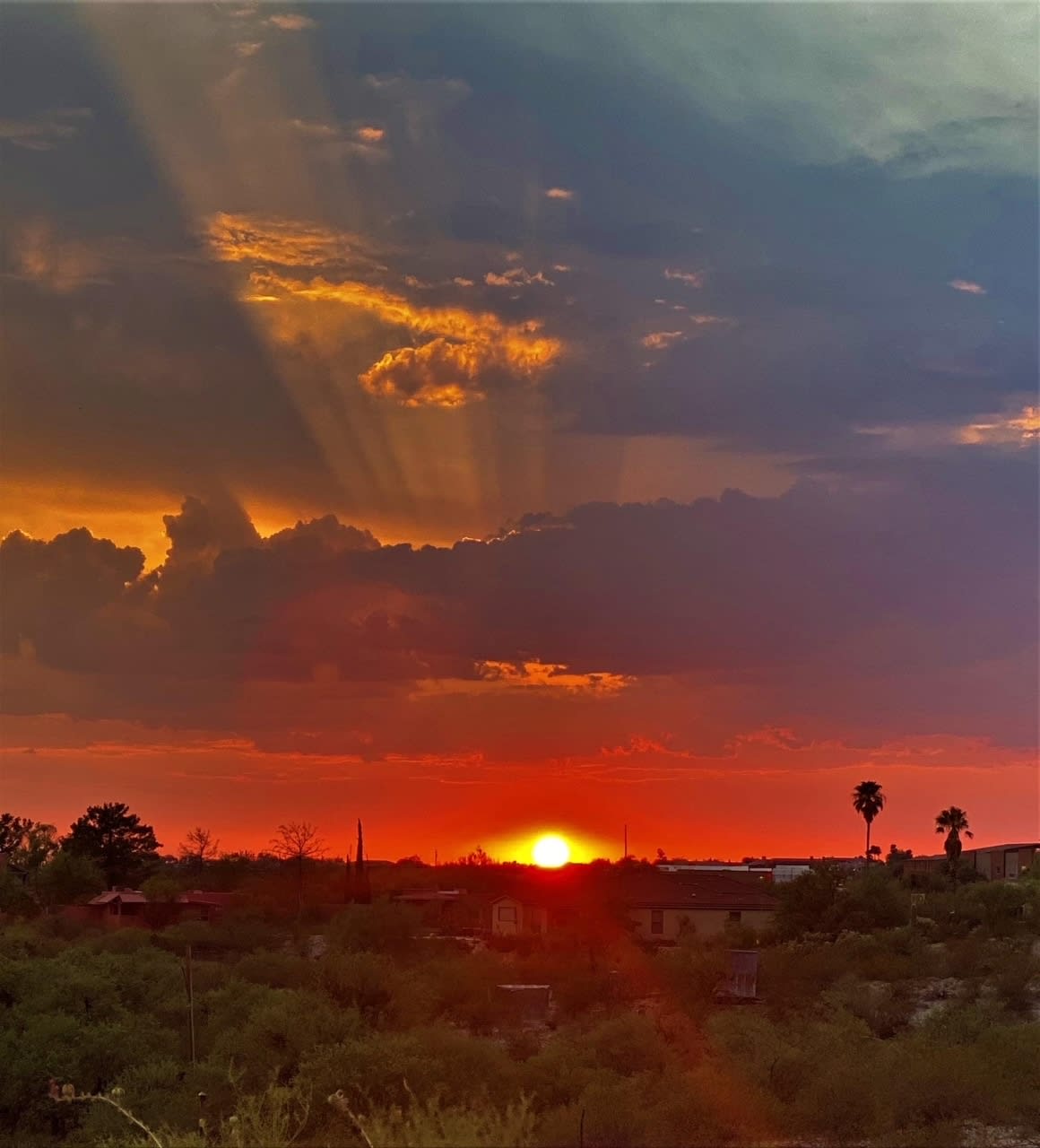 Beth Eisenmann | Southern Arizona Real Estate Expert