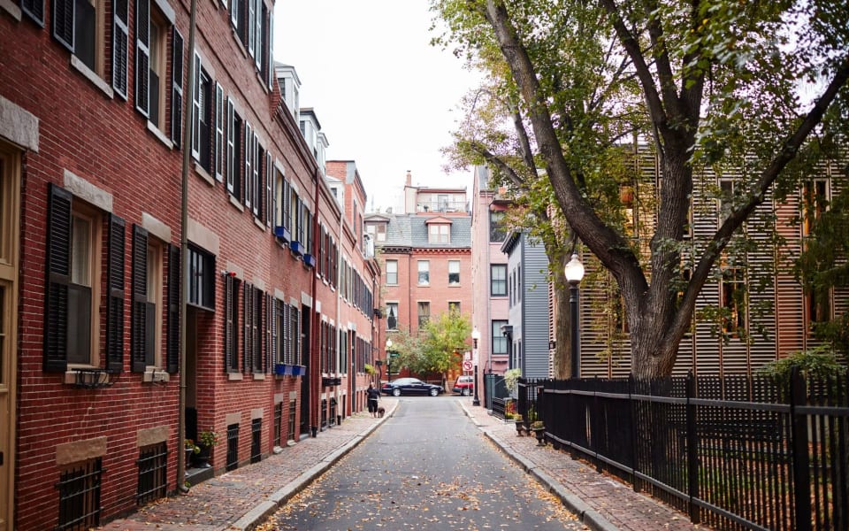 Community Involvement | Ellen + Janis Real Estate Team | Jamaica Plain ...