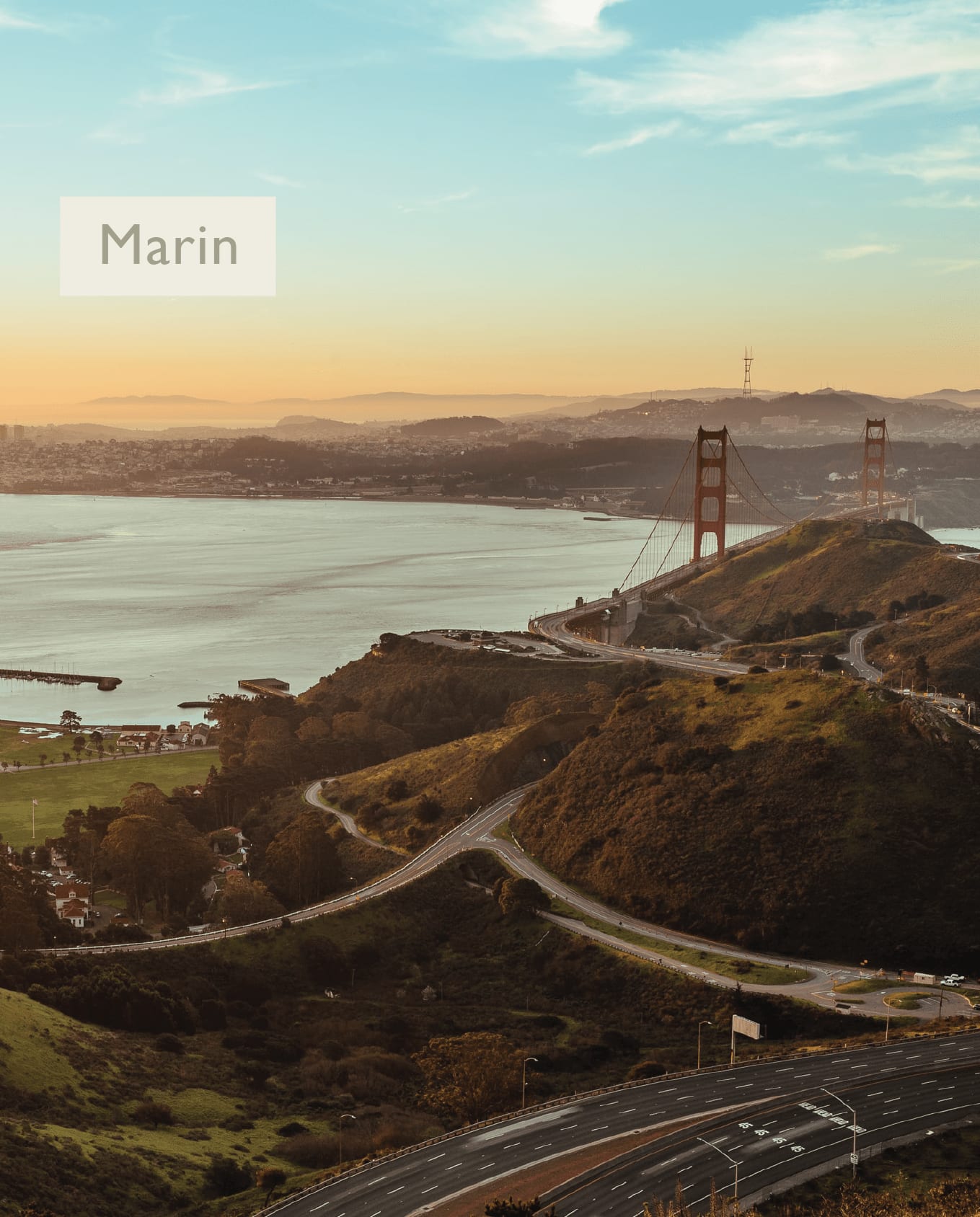 Michelle Balog | Bay Group