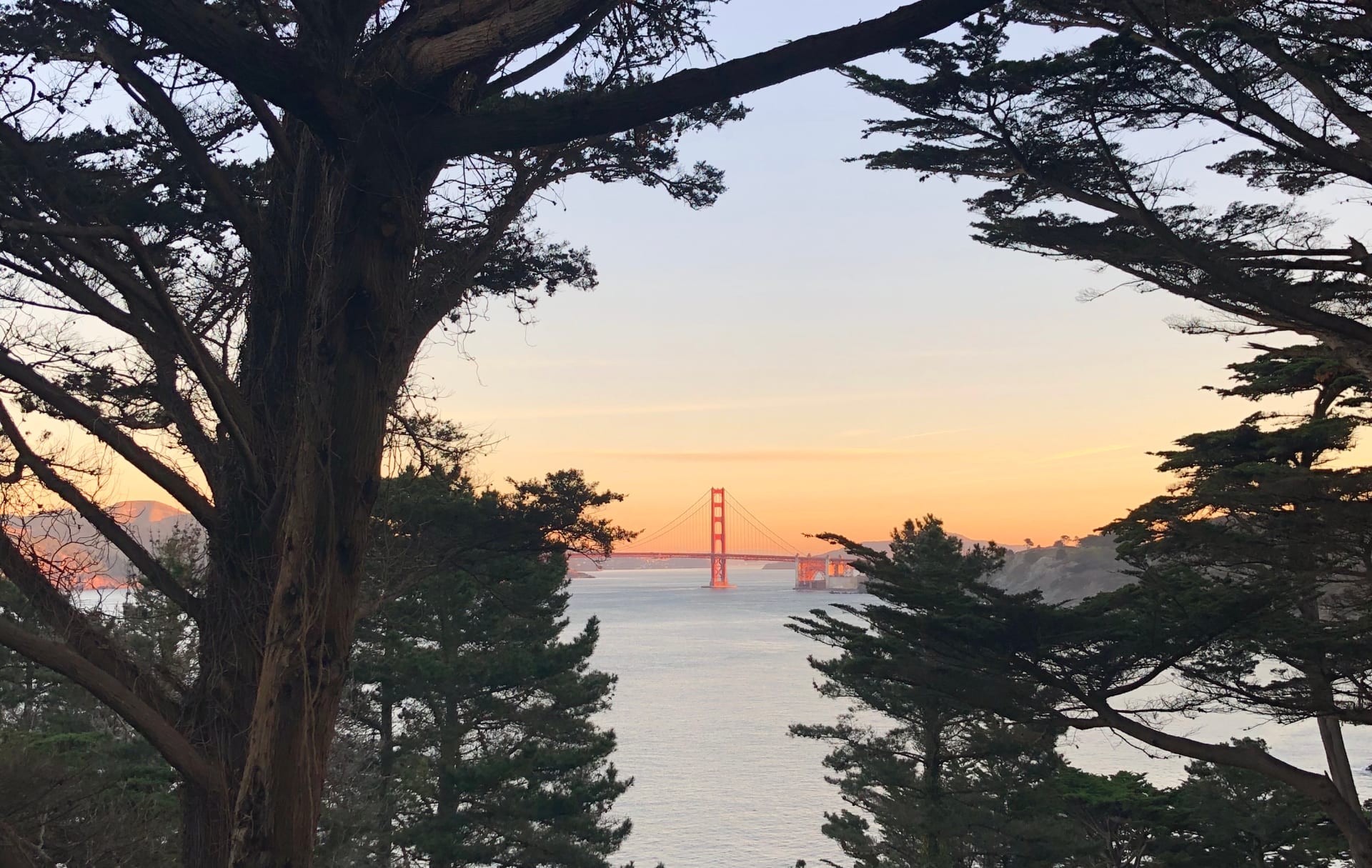 Portfolio | Marsha Abrahams | San Francisco + Marin Real Estate Agent