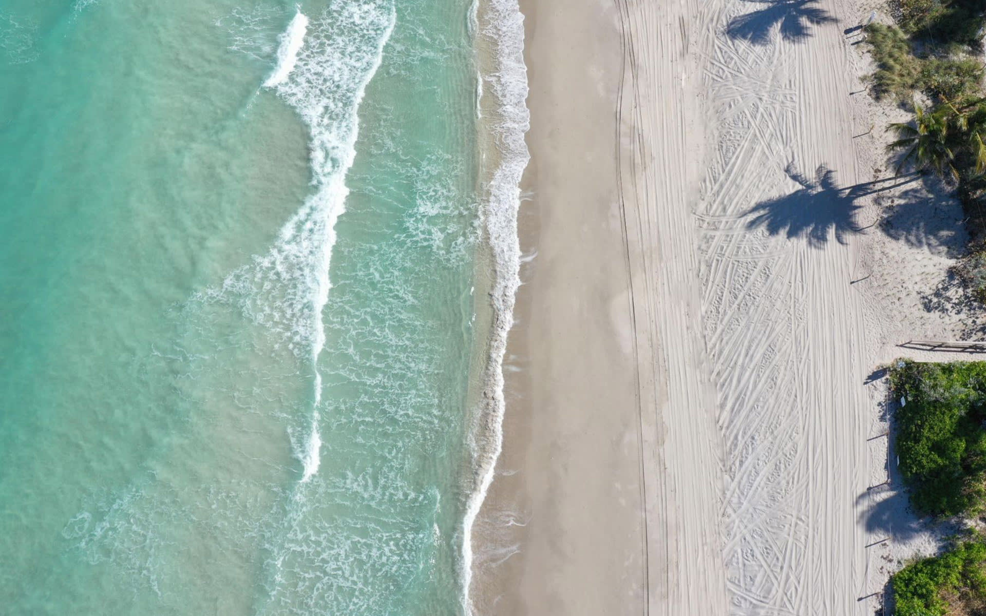 Testimonials | Shamooil Team | Great Neck Plaza Real Estate Experts