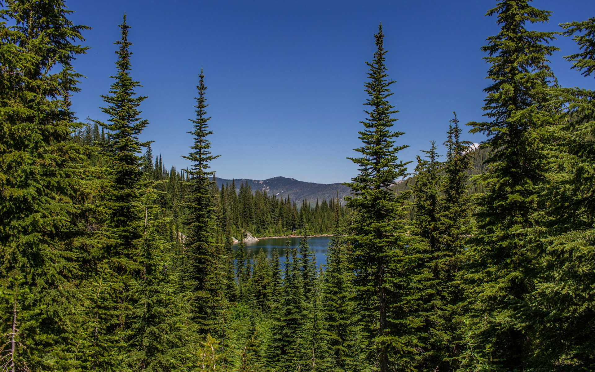 Find Your Idaho Dream Area | Connie Boyce, Idaho Real Estate