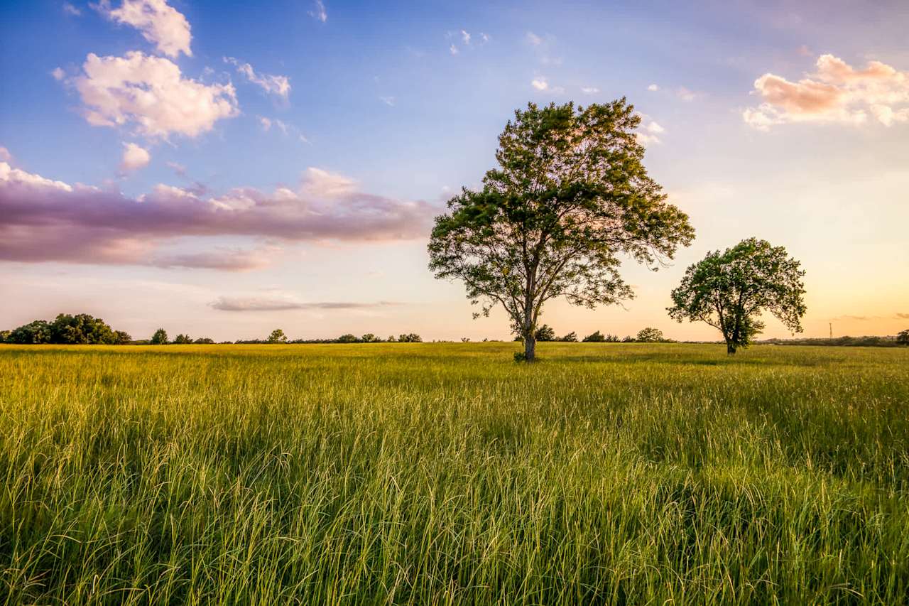 Farm and Ranch Property For Sale Near Me | Texas Realtor & Real Estate ...